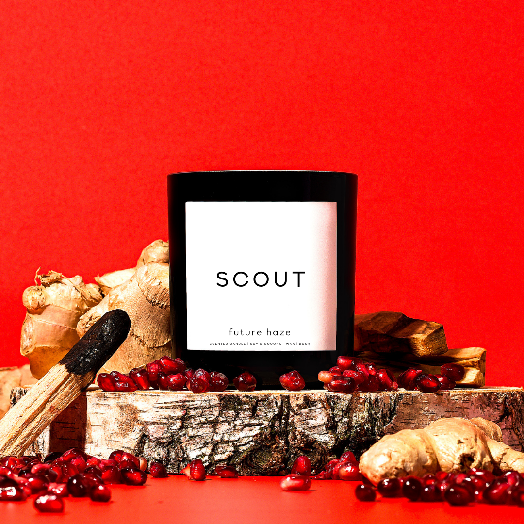 SCOUT – FUTURE HAZE